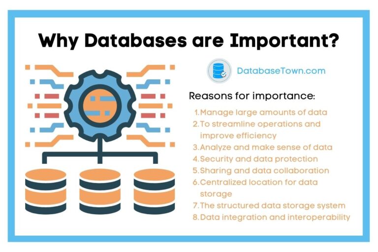 What Are Library Databases DatabaseTown
