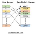 File Organization in DBMS | What are the four types of file Organization?